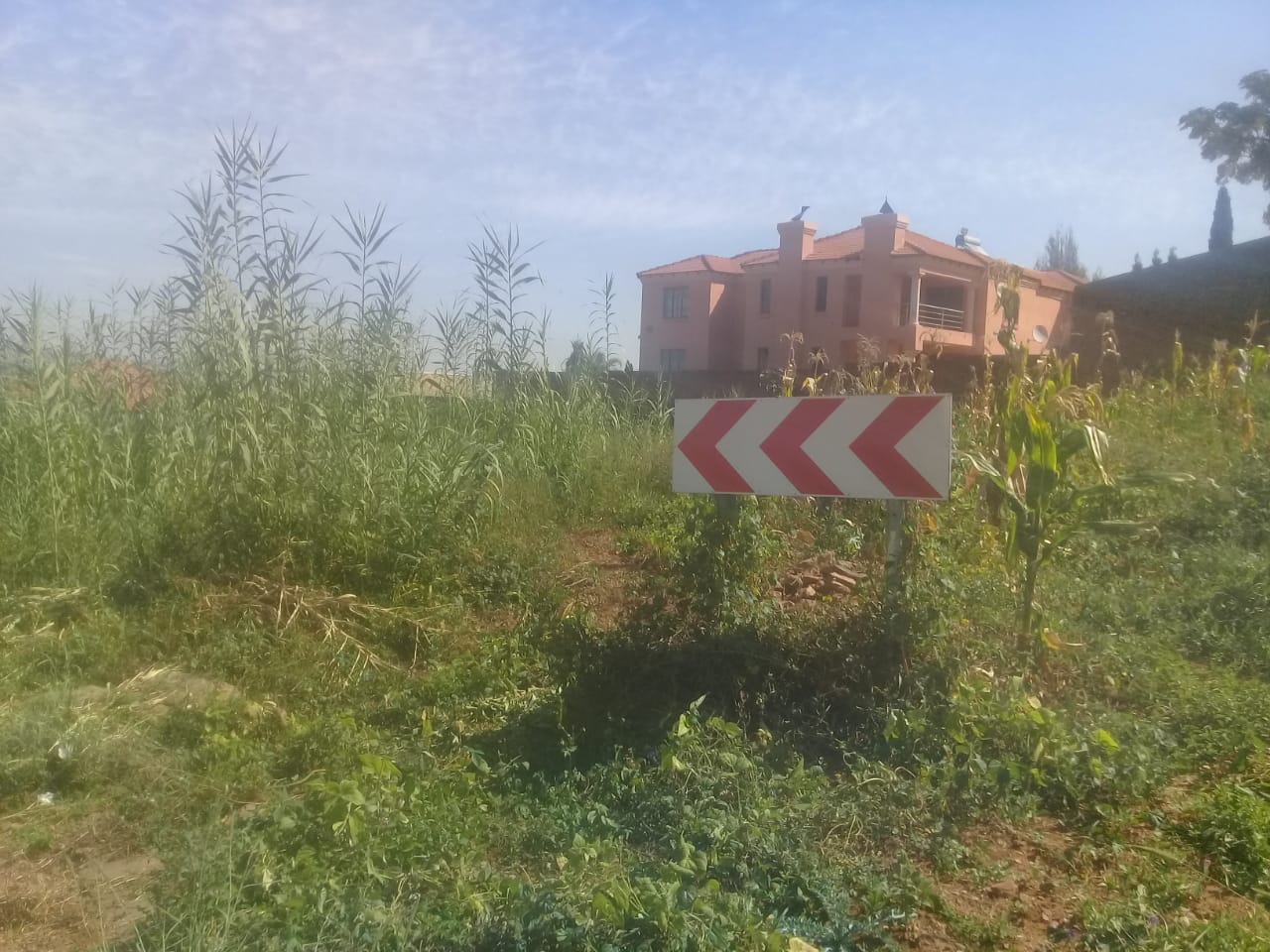 Stand for sale in lady selborne | Junk Mail Marketplace