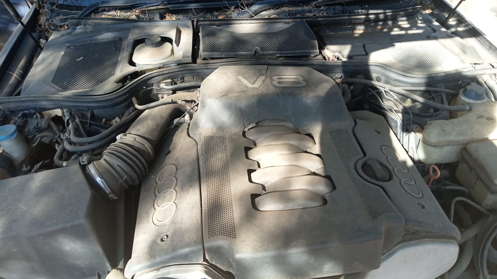 Audi A8 4.2L quatro | Junk Mail Marketplace