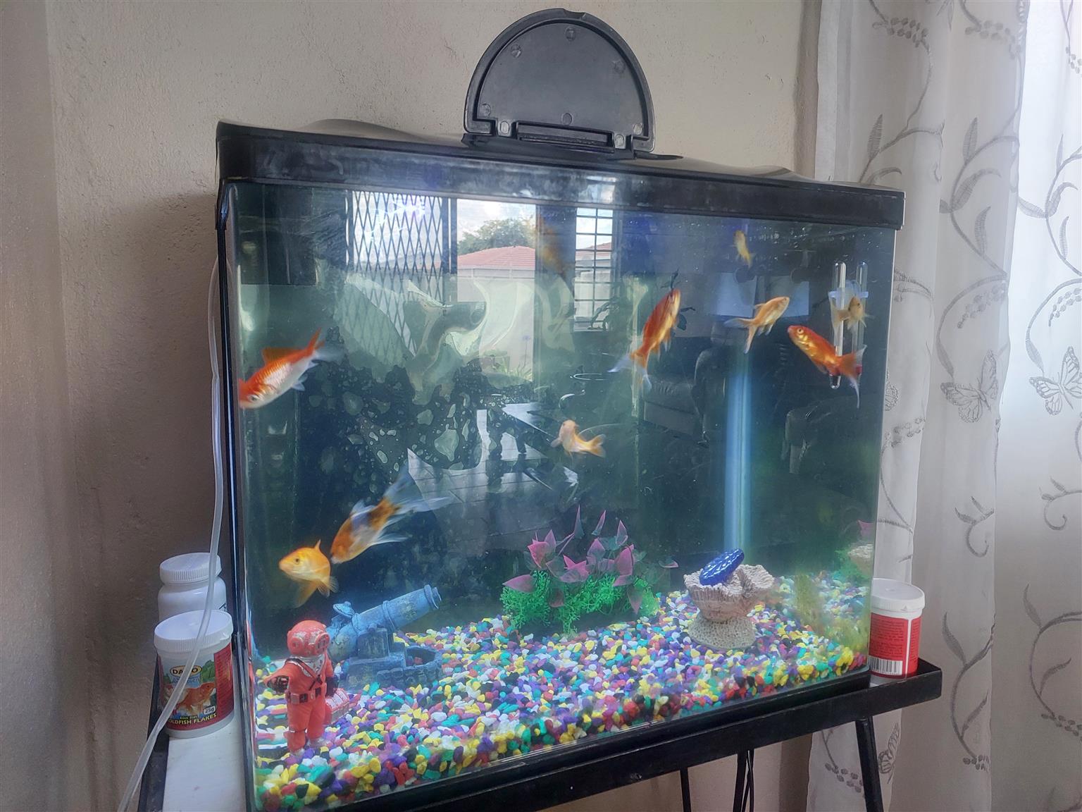 Fish tank - Akwaria HR 500 | Junk Mail Marketplace