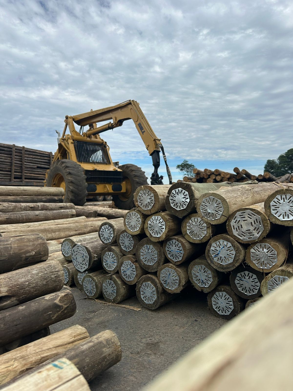 CCA Treated Timber / Wooden Gum Poles | Junk Mail Marketplace