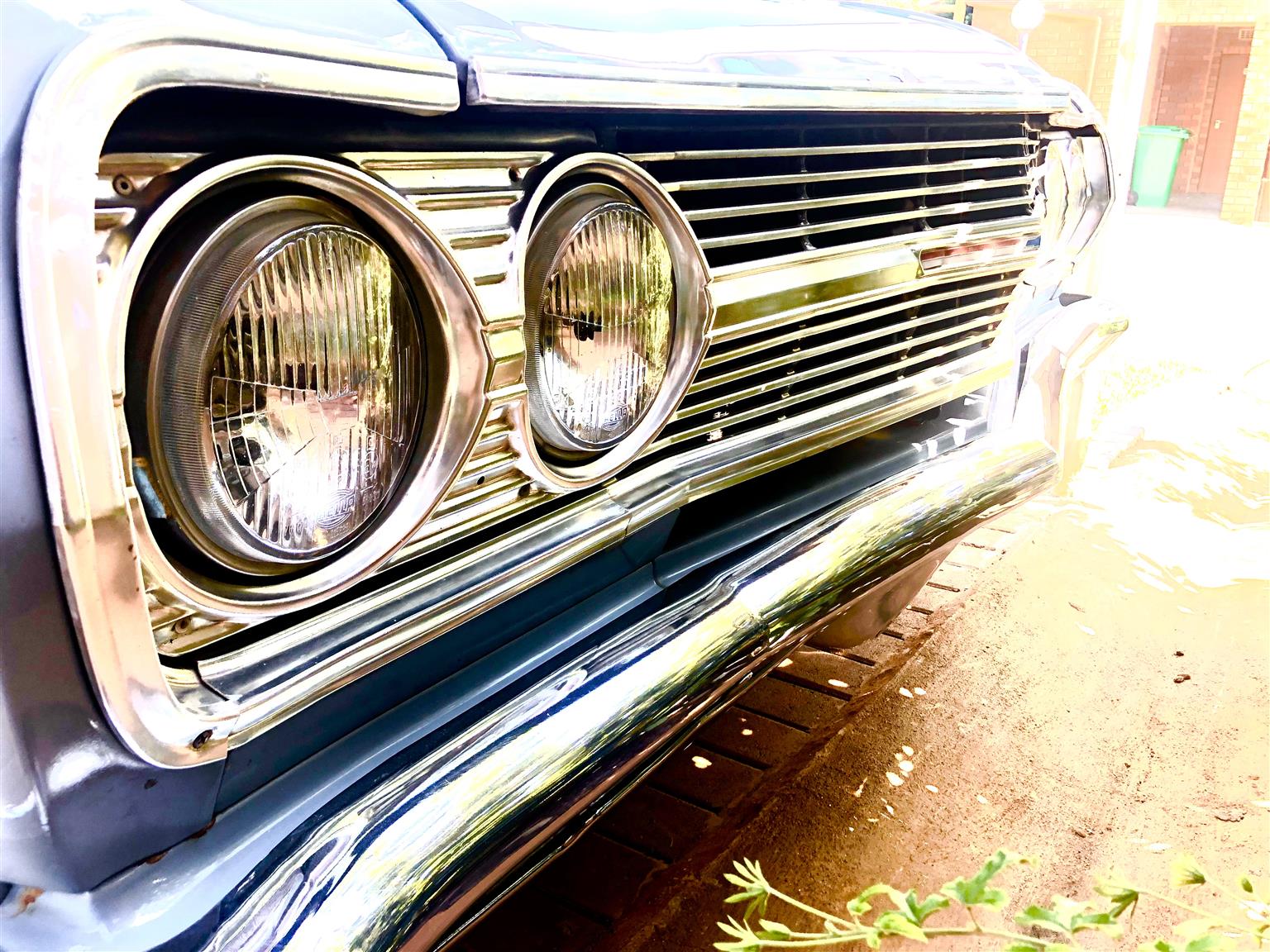 1965 Chevrolet Chevelle | Junk Mail Marketplace