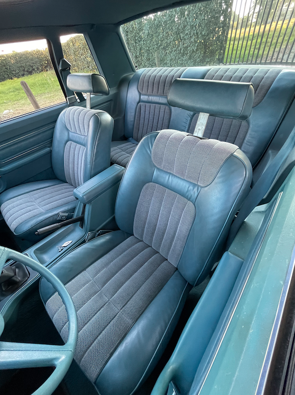 1981 FORD MUSTANG (Fox Body) | Junk Mail