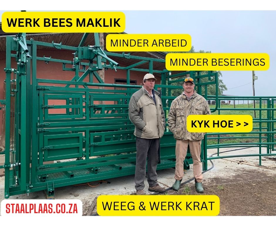 Cattle Weigh Crate with Neck & Body Clamp Bees Weegkrat met Nek en ...