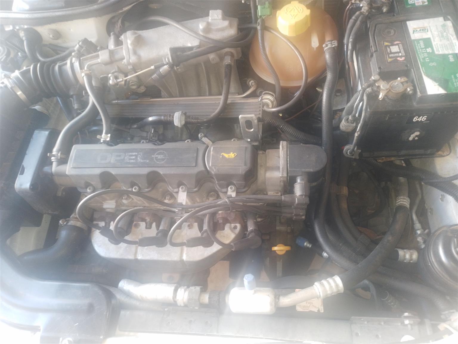 Corsa Lite | Junk Mail Marketplace