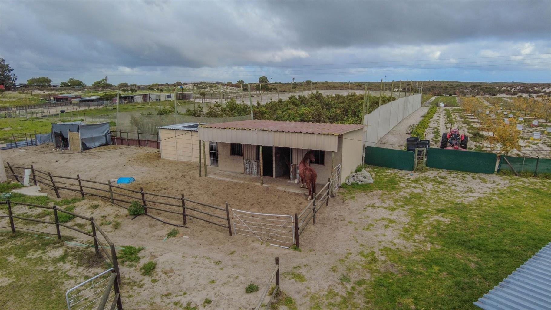 43-Hectare West Coast Farm – Lifestyle, Land & Endless Potential | Junk ...