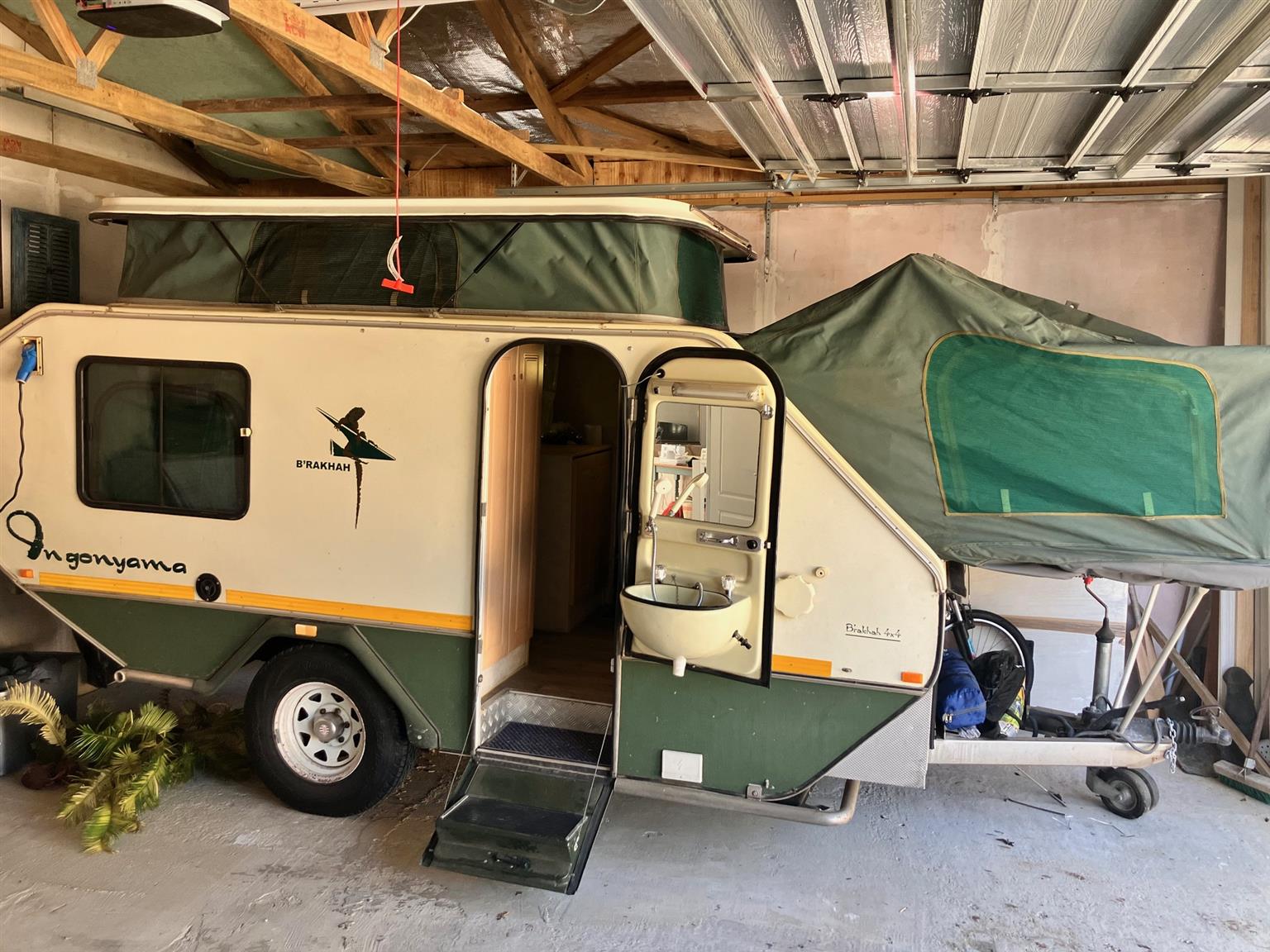 Brakhah Ingonyama Boswa | Junk Mail