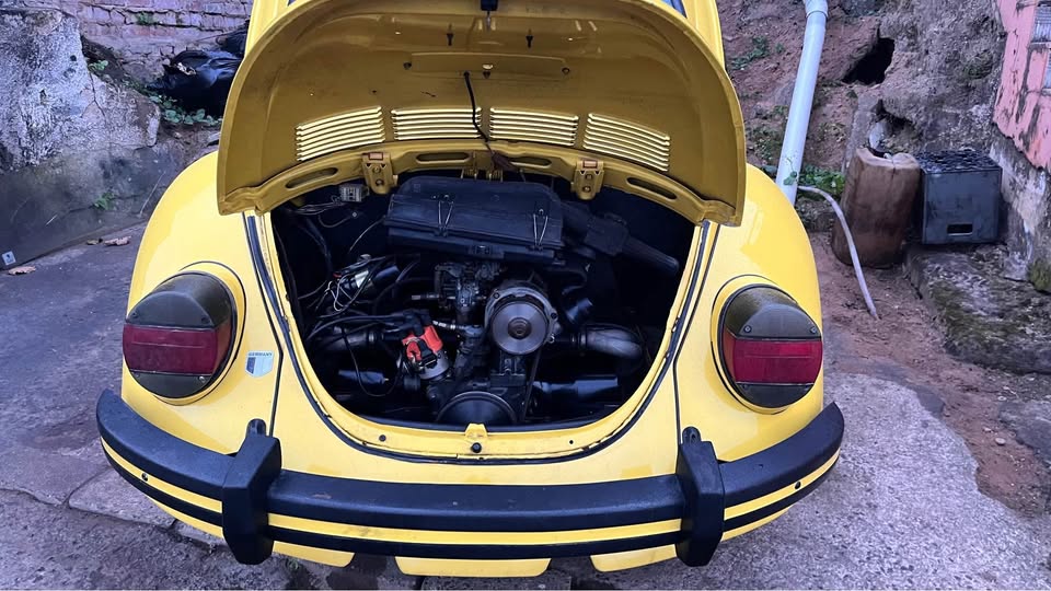 VW Beetle LUX Bug | Junk Mail Marketplace