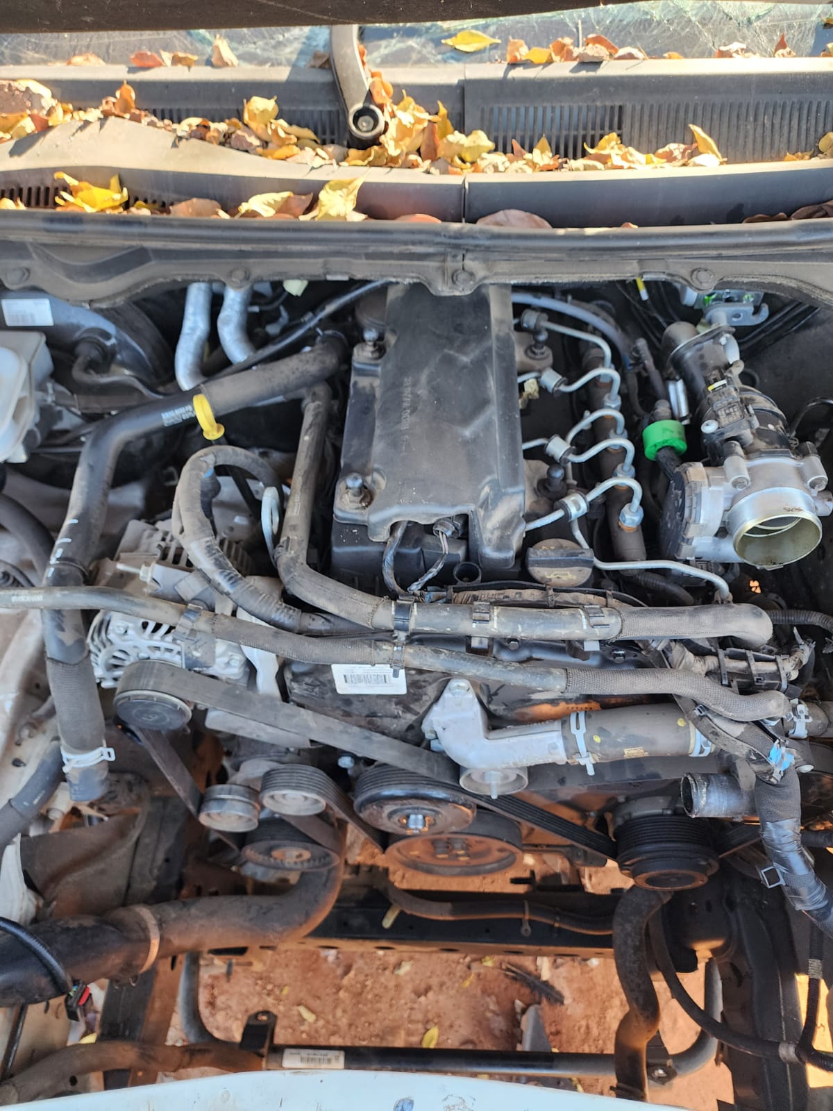 Ford Ranger 2.2 engine 6t 2017 model | Junk Mail