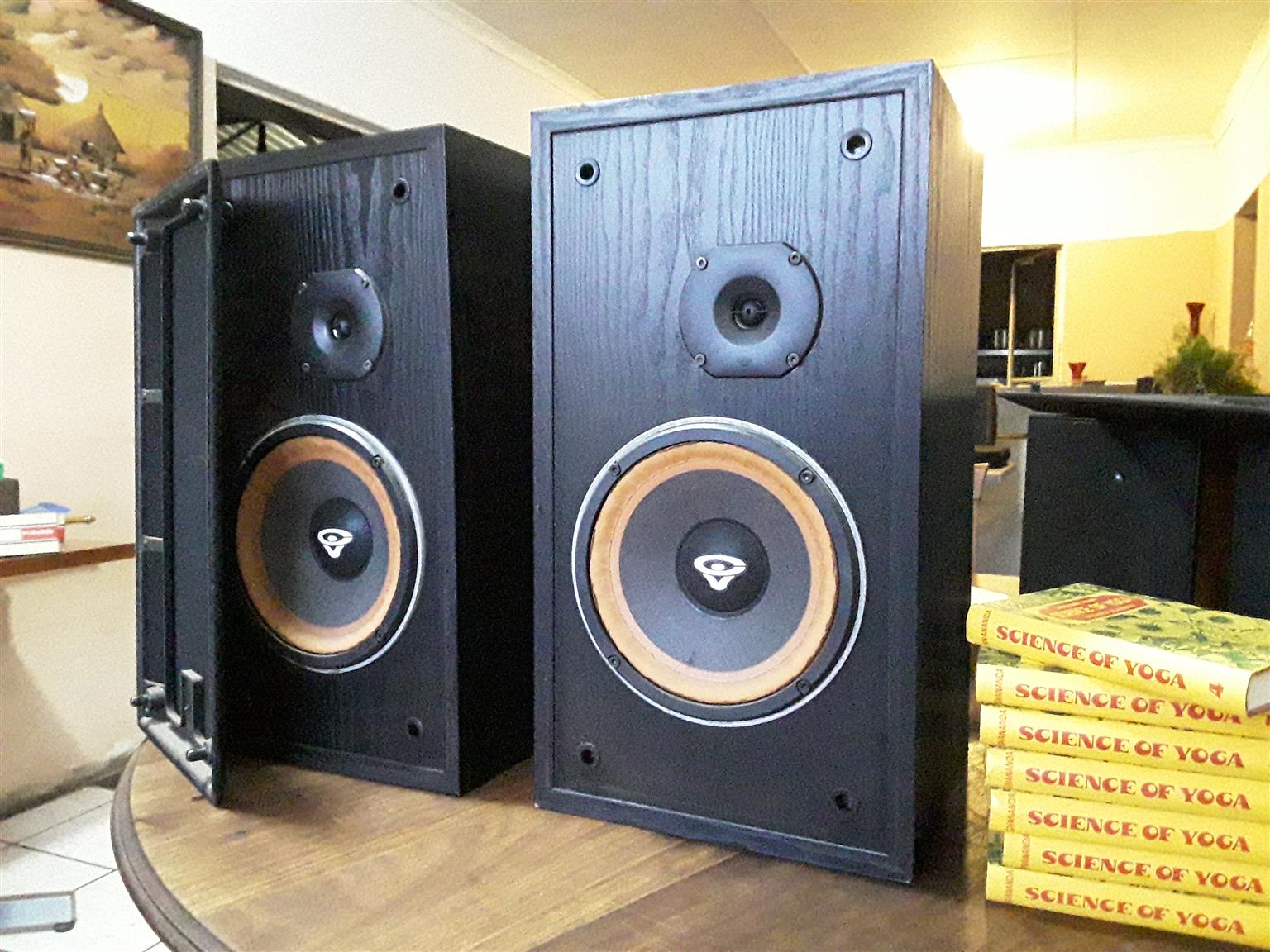 Cerwin Vega Speakers | Junk Mail Marketplace