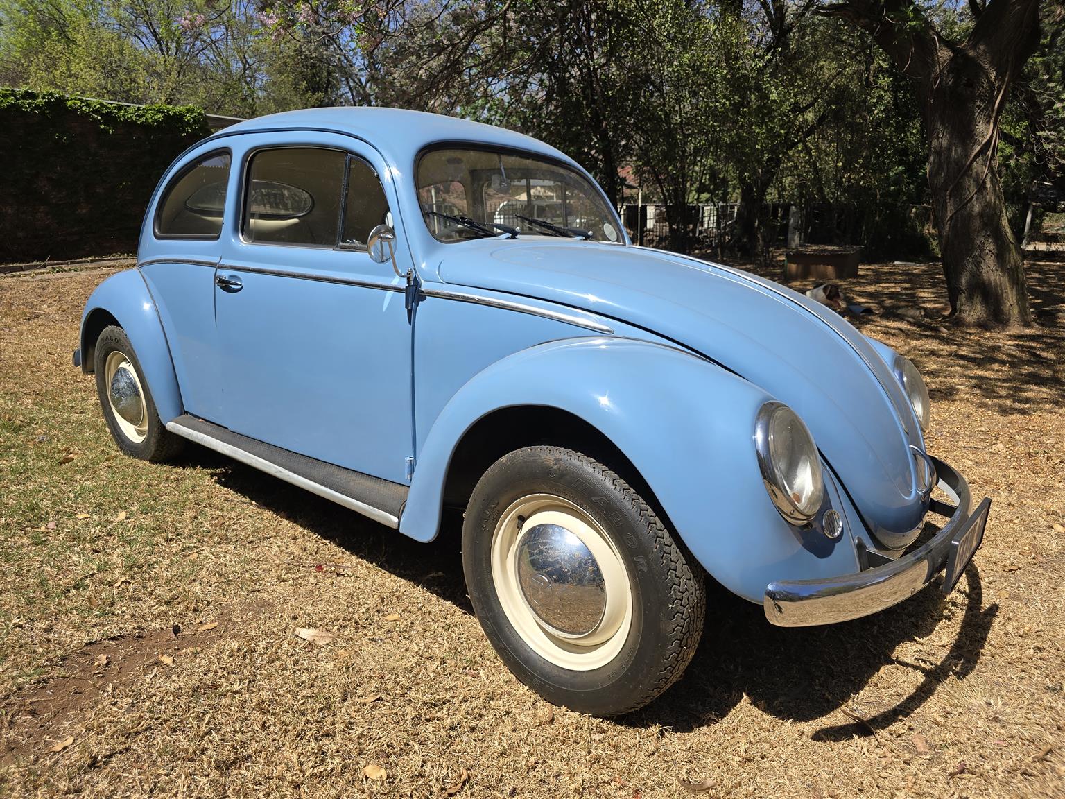 1956 Volkswagen Oval window Beetle | Junk Mail Marketplace