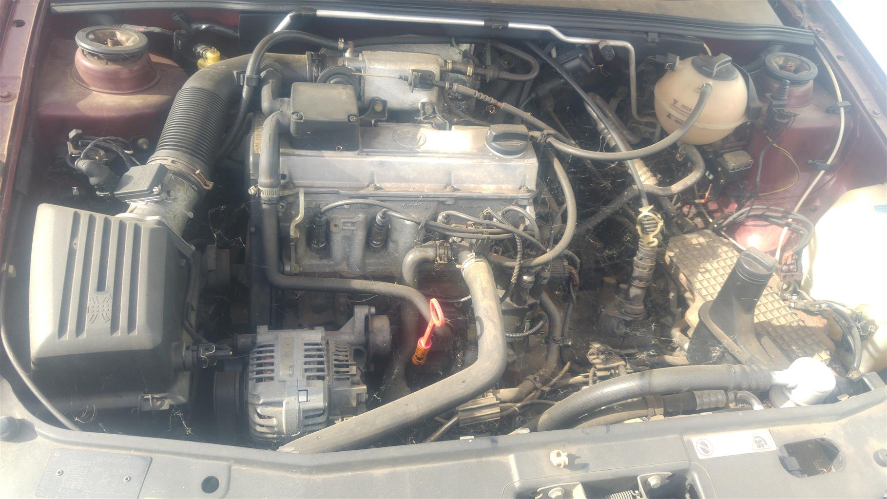 VW Golf Mk3 | Junk Mail