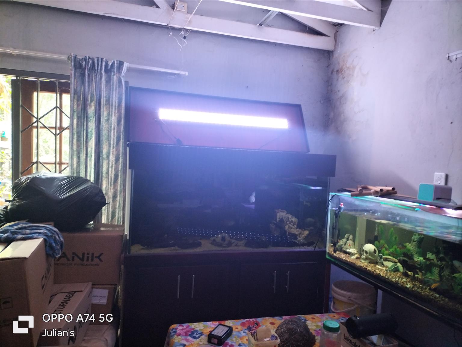 700 liter fish tank | Junk Mail Marketplace