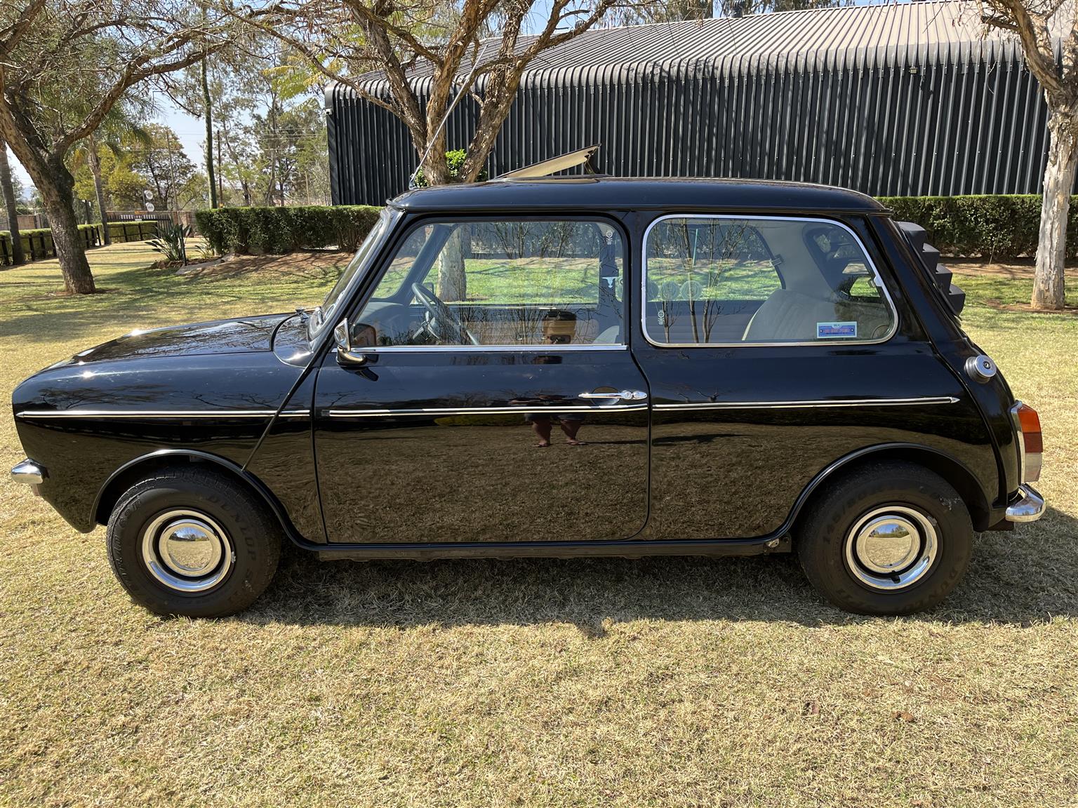 193 Mini HLE | Junk Mail Marketplace