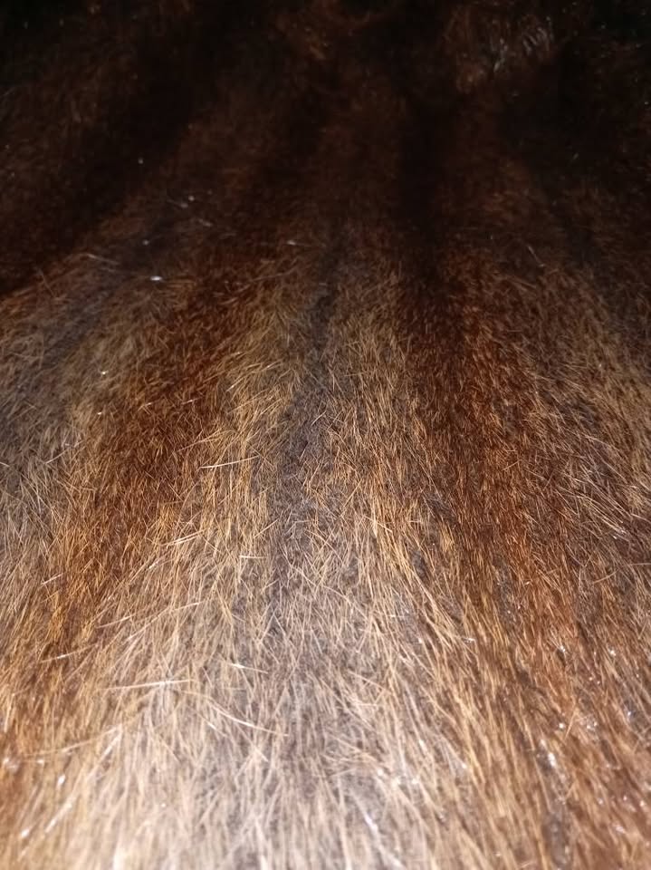 Vintage Mink Fur coat | Junk Mail Marketplace