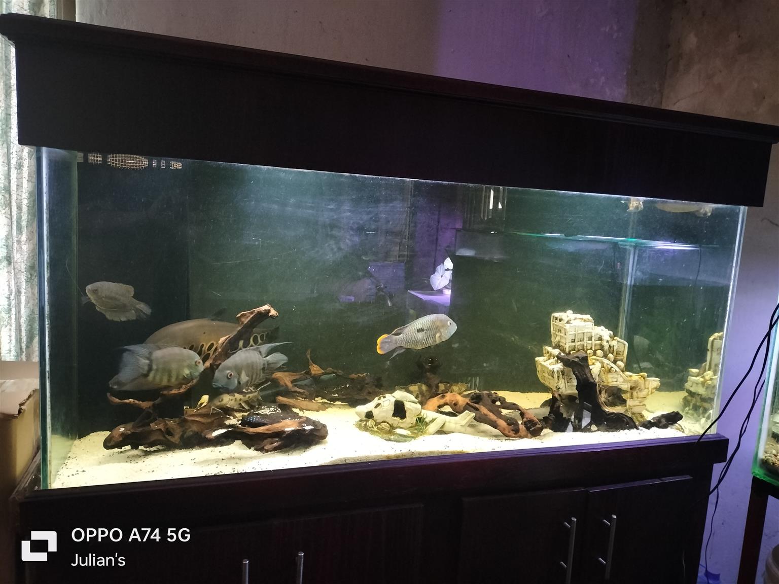 700 liter fish tank | Junk Mail Marketplace