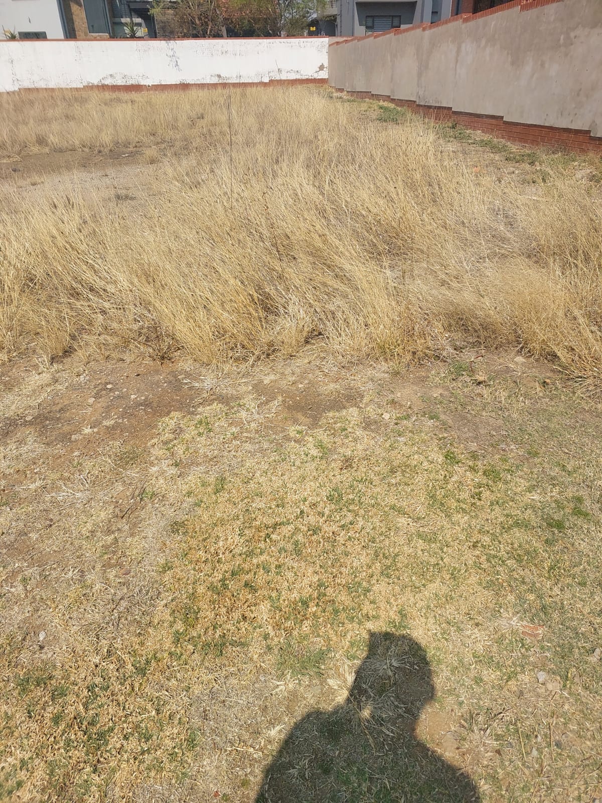 Northern Suburb Gem! Your Dream Begins Here | Junk Mail Marketplace