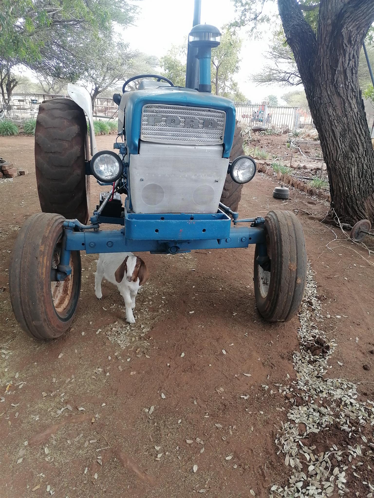 Ford 4000 Tractor | Junk Mail Marketplace