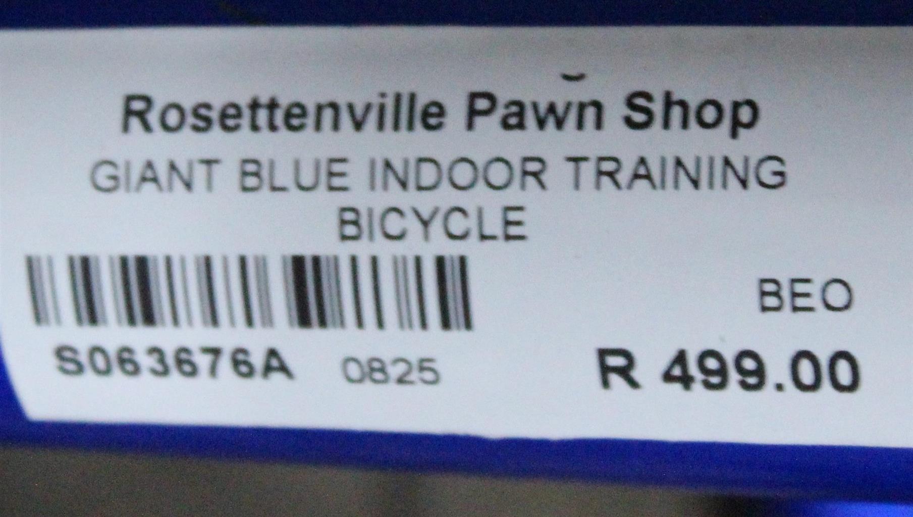 GIANT BLUE INDOOR TRAINING BICYCLE S063676A | Junk Mail Marketplace