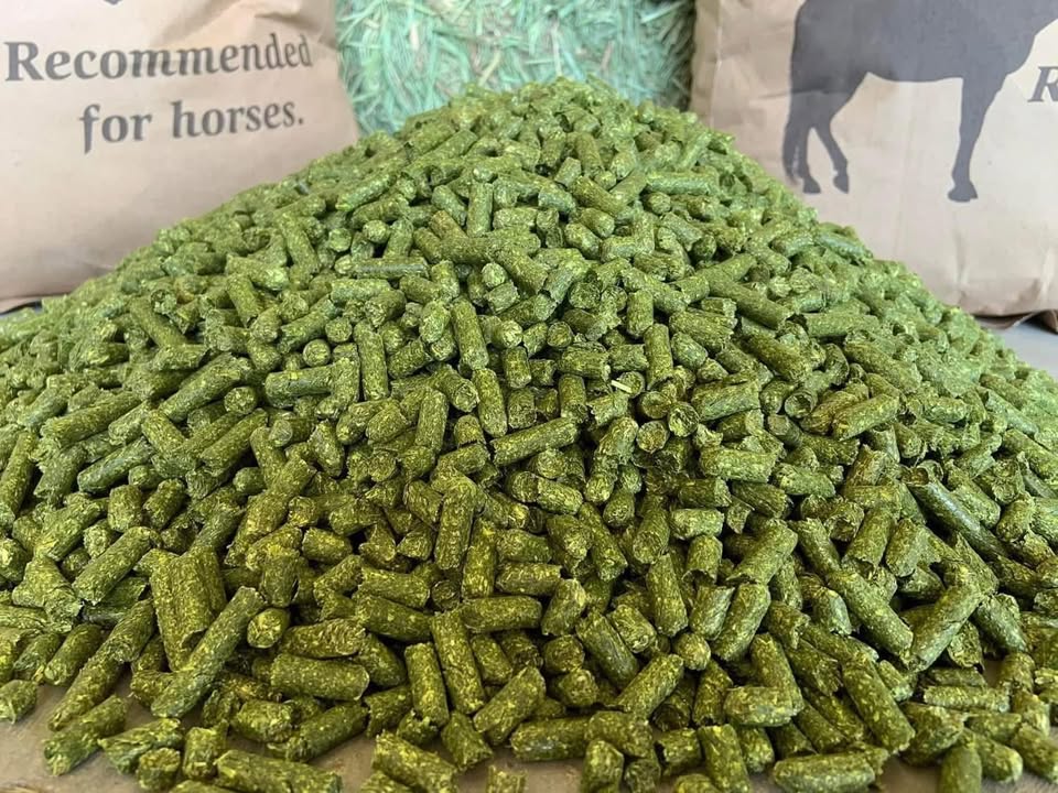 Lucerne/Molasses Pellets Winter Feed for Cattle, Goats & Horses | 50kg ...