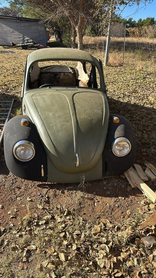 1973 Volkswagen Beetle Body Shell | Junk Mail Marketplace