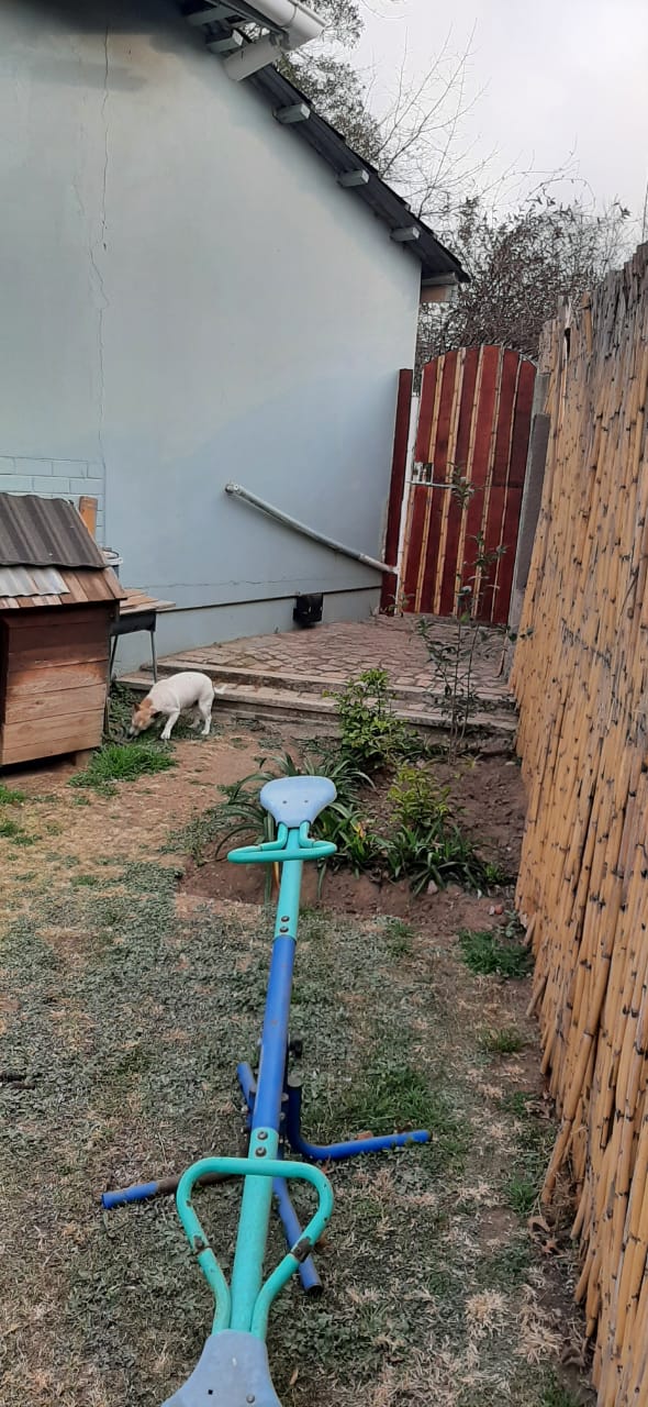 Perfect Lock up and go bachelors | Junk Mail