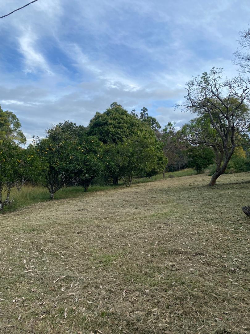 10 Hectares Property For Sale In Swaziland | Junk Mail Marketplace