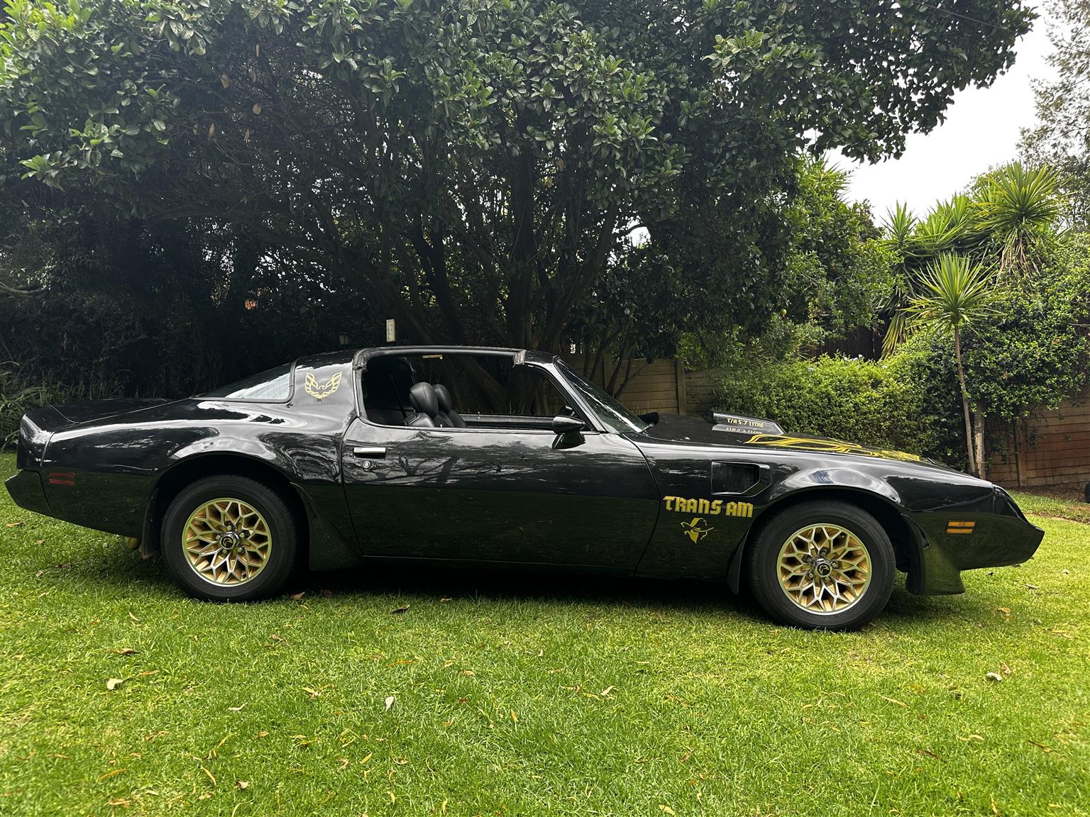 1981 Pontiac Firebird TransAm [LHD] | Junk Mail Marketplace