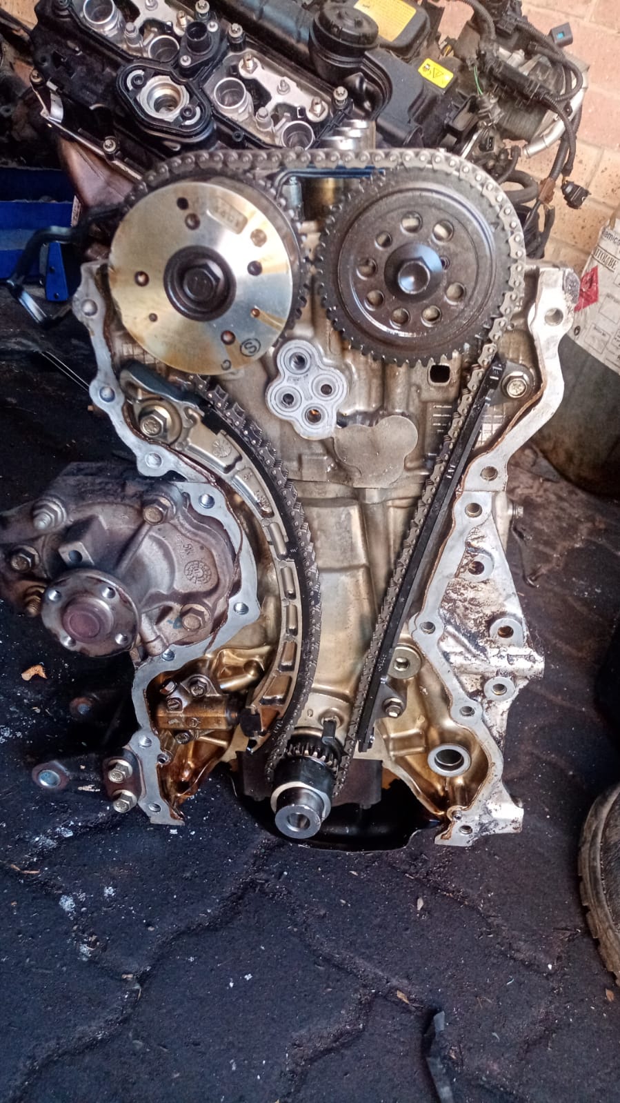 Ertiga timing chain store