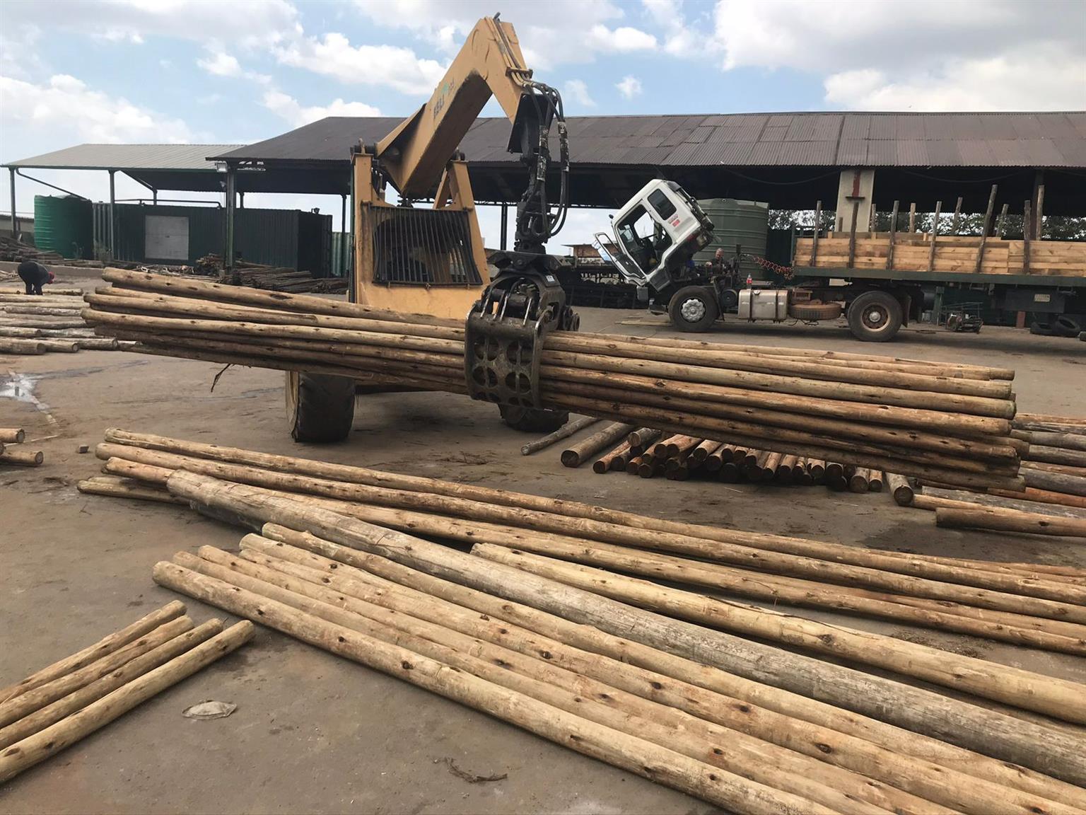 CCA Treated Timber / Wooden Gum Poles | Junk Mail Marketplace