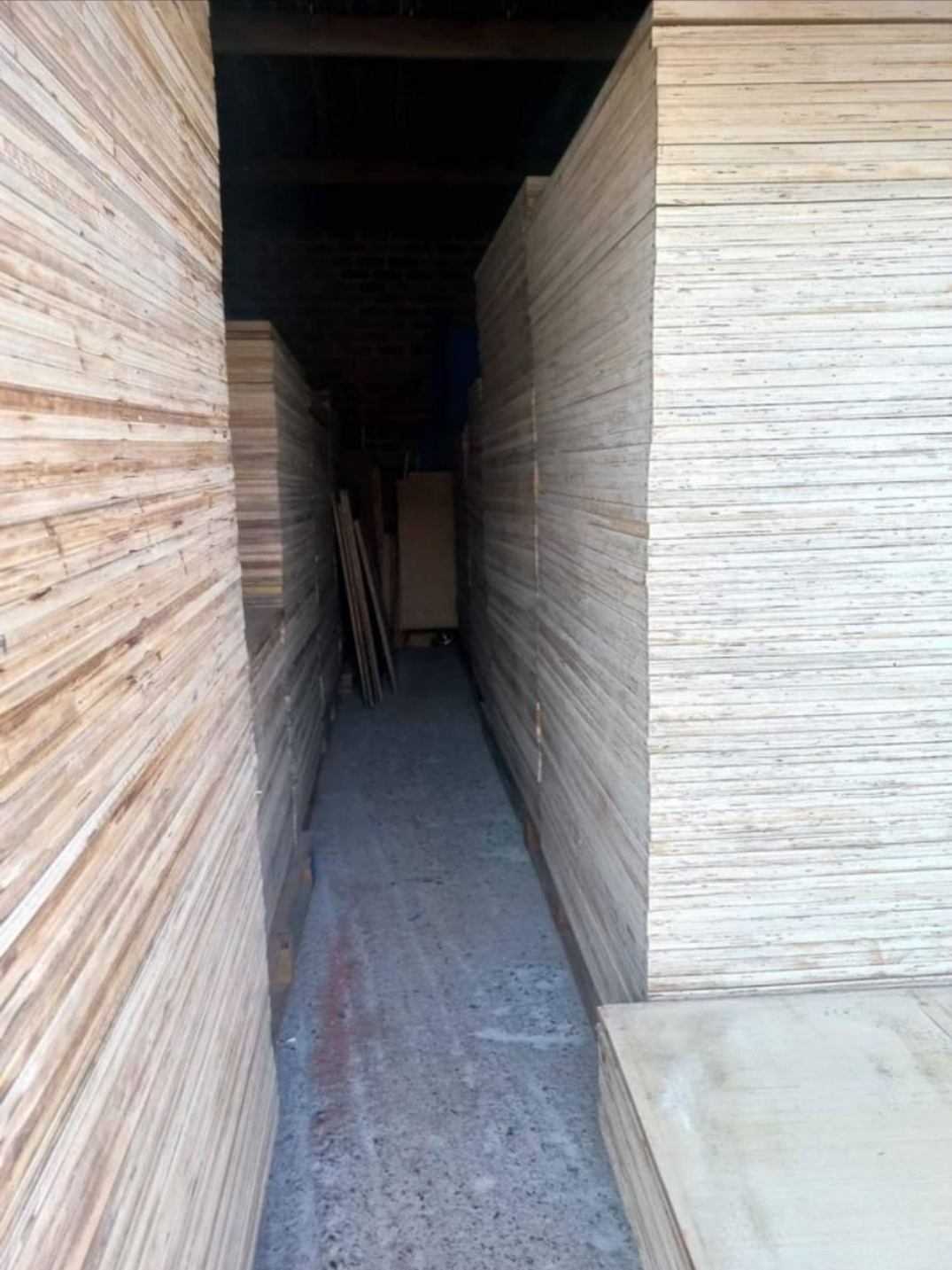 Shutterply and Plywood Boards | Junk Mail