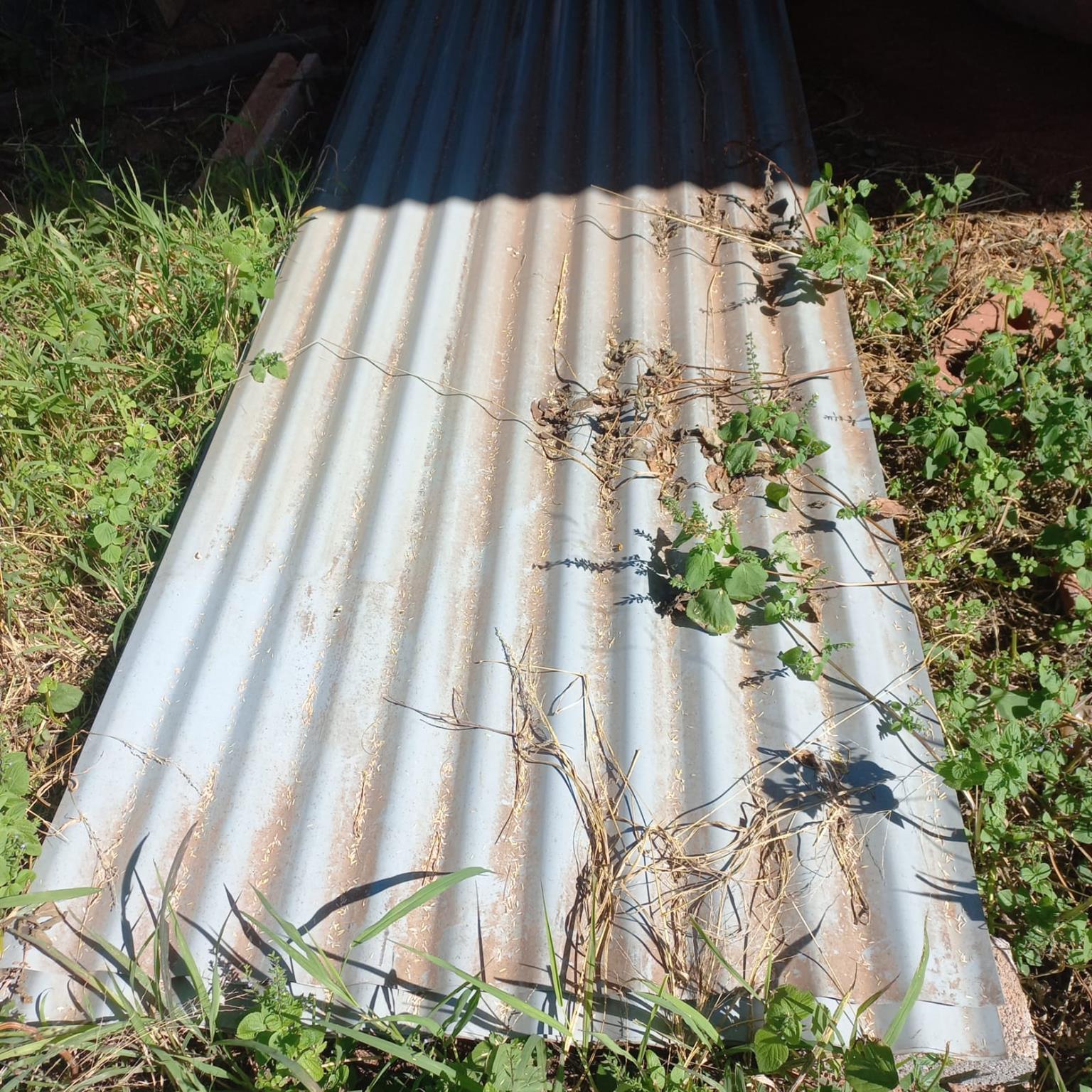 Chromadek Roof Sheeting Corrugated 8000X852 Dove Grey New | Junk Mail ...