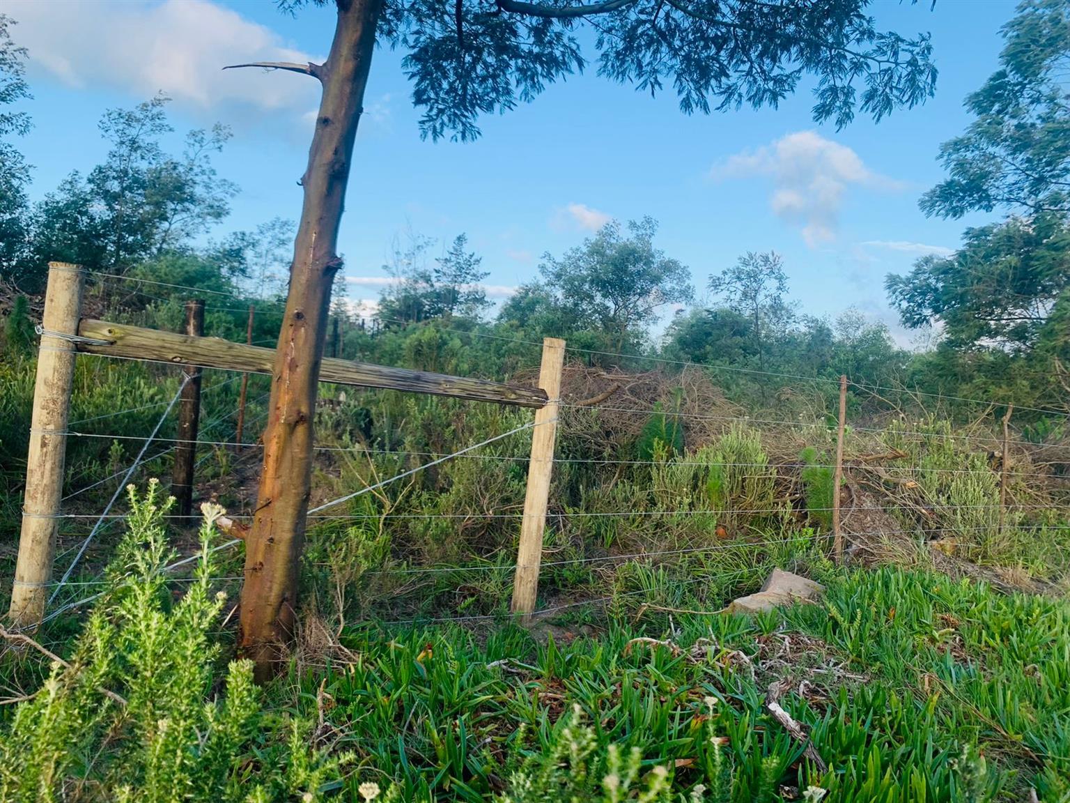 39 Ha vacant farm in Rocklands Elandsrivier | Junk Mail Marketplace