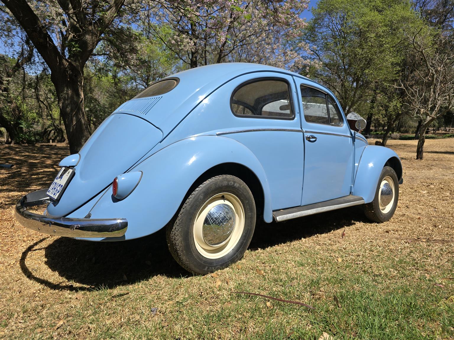 1956 Volkswagen Oval window Beetle | Junk Mail Marketplace