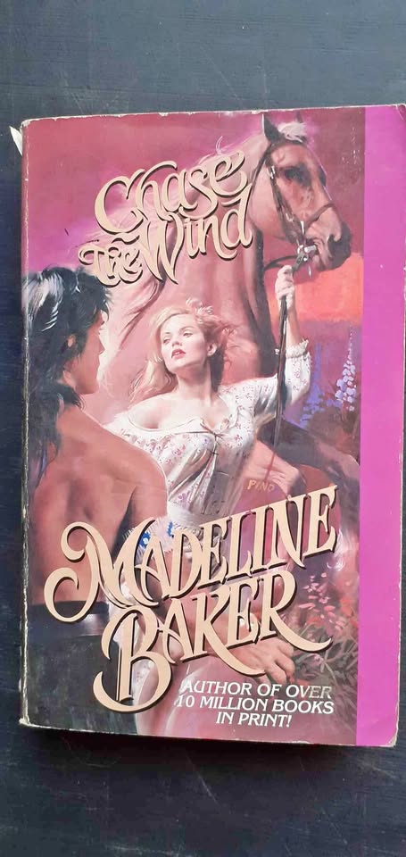 Chase the wind - Madeline Baker | Junk Mail Marketplace