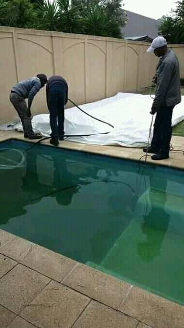 SWIMMING POOL DOCTOR | Junk Mail